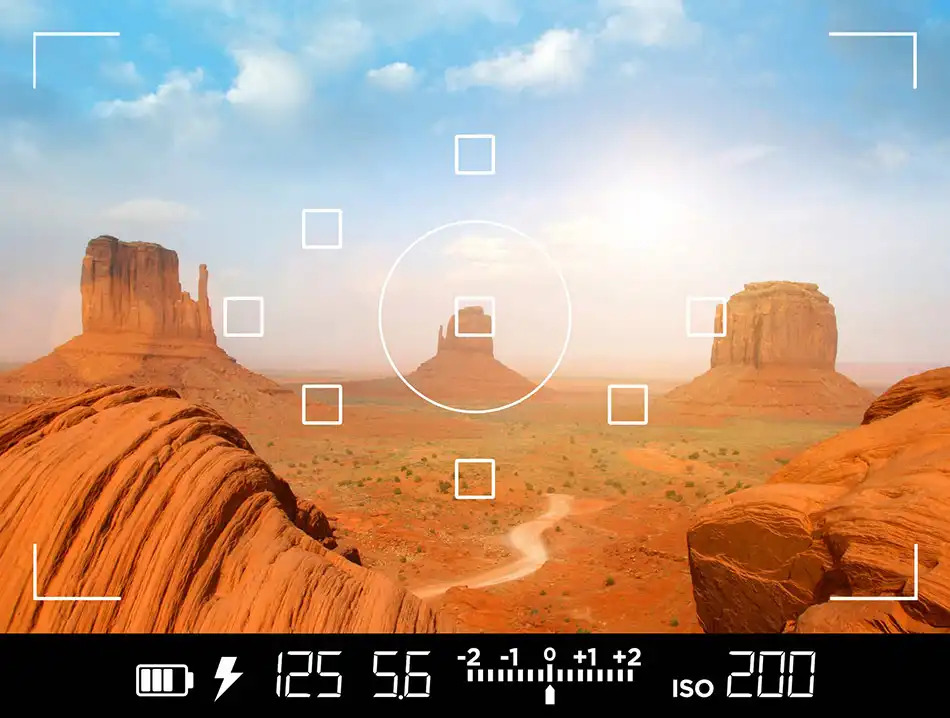 Autofocus Photography