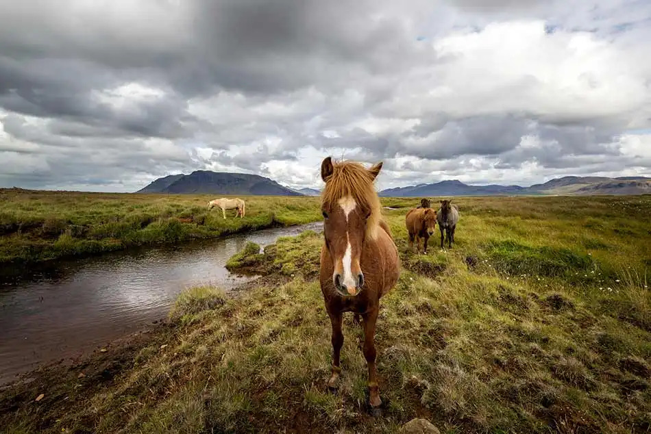 Depth Of Field Photography Landscape