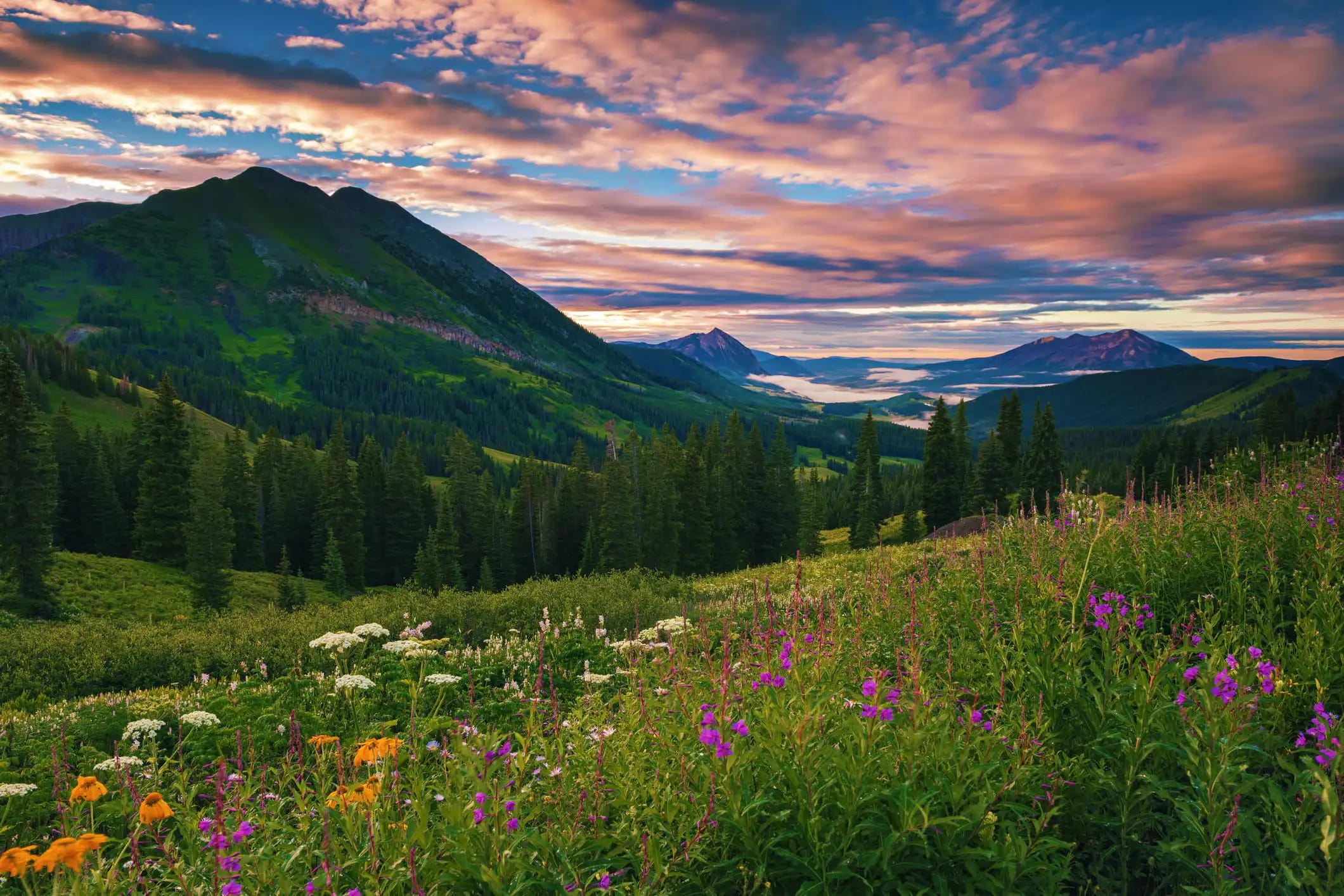 Colorado Landscape Summer