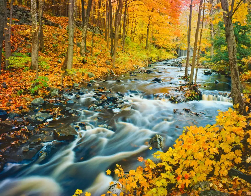 Colorful Fall Photography