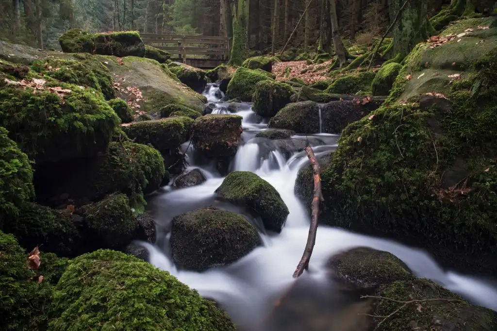 River Landscape Photography