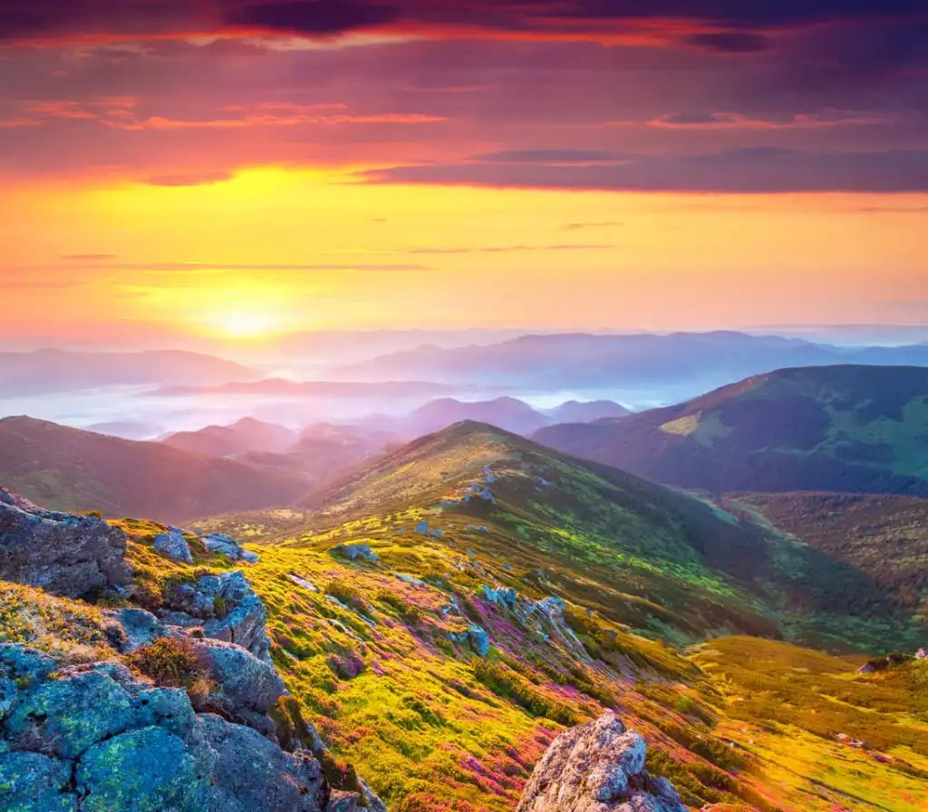 Colorful Nature Photography